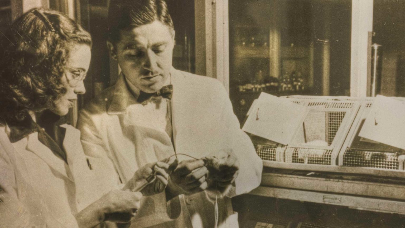 La tira reactiva d’orina de Helen Murray Free - ESCI-UPF News